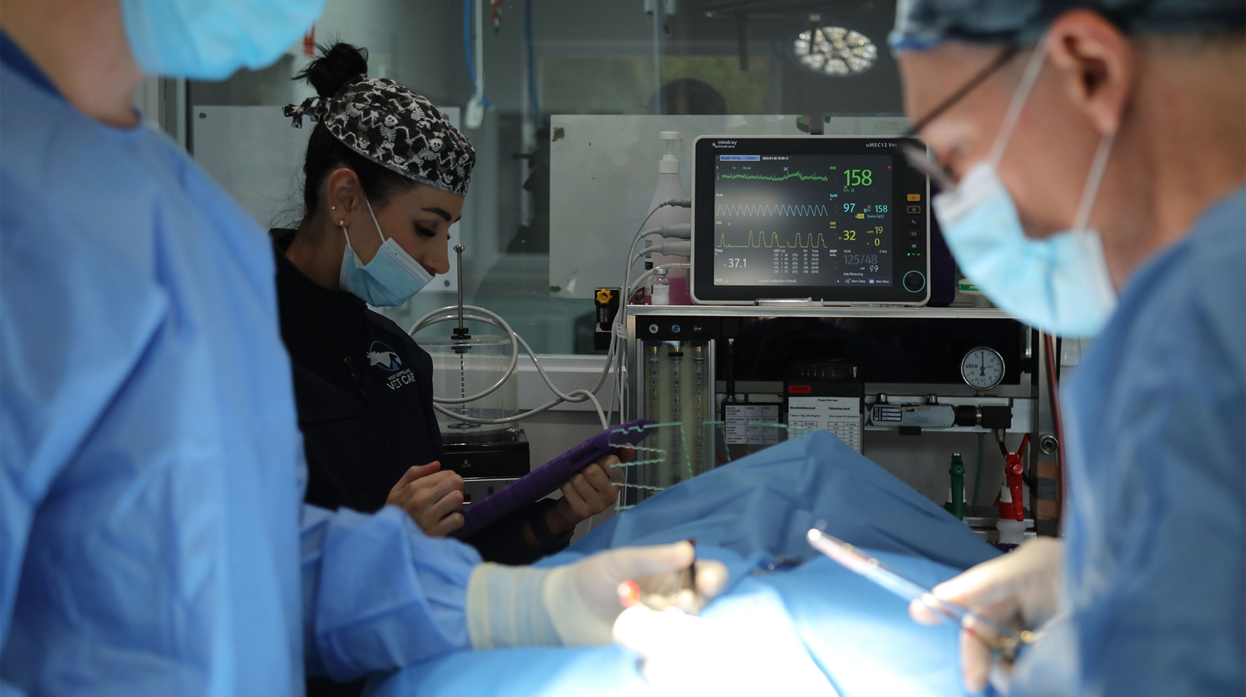 Pet Emergency Surgery - Gippsland Pet Emergency